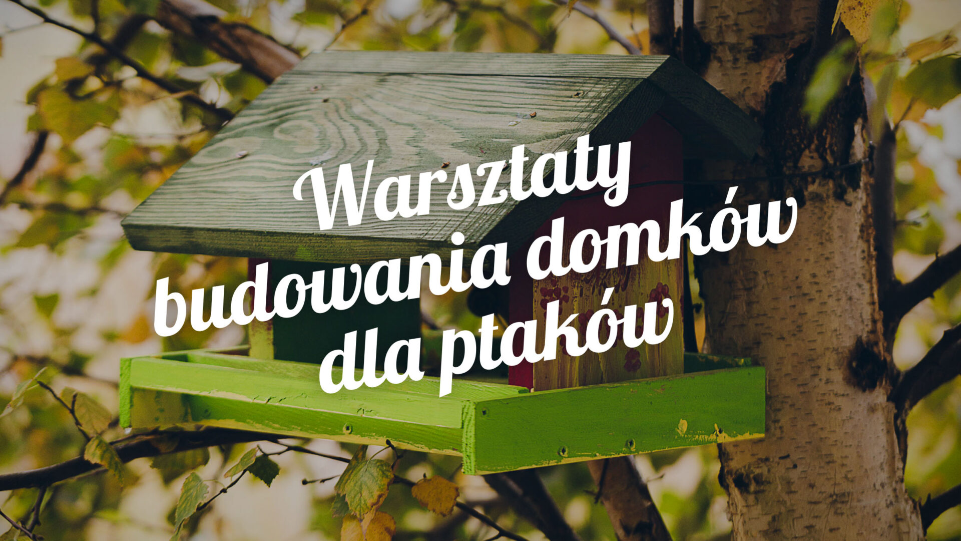 Warsztaty budowania domków dla ptaków -- Business Garden - Innowacyjny ... Warsztaty budowania domków dla ptaków -- Business Garden - Innowacyjny ...
